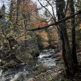 Johnson River Falls Trail, Nova Scotia, Canada - 737 Reviews, Map ...