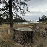 Finnon Reservoir Loop, California - 71 Reviews, Map | AllTrails