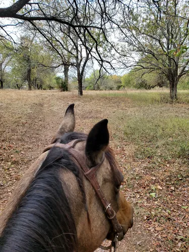 Best Hikes and Trails in Perry State Park | AllTrails