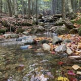 Brook Trail, New Hampshire - 1,230 Reviews, Map | AllTrails