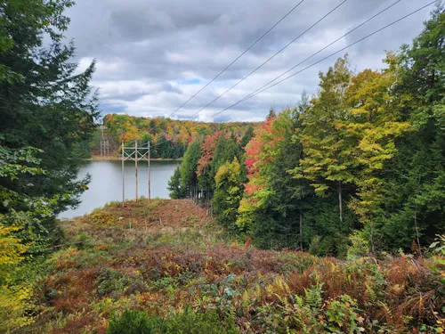 2023 Best Kid Friendly Trails in Westford | AllTrails