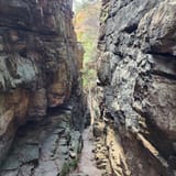 Stone Door Trail, Tennessee - 1,391 Reviews, Map | AllTrails