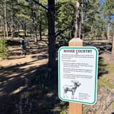 Caribou Ranch Trail, Colorado - 1,389 Reviews, Map | AllTrails