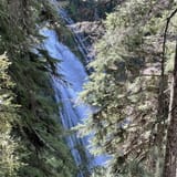 Lemolo Falls Trail, Oregon - 403 Reviews, Map | AllTrails