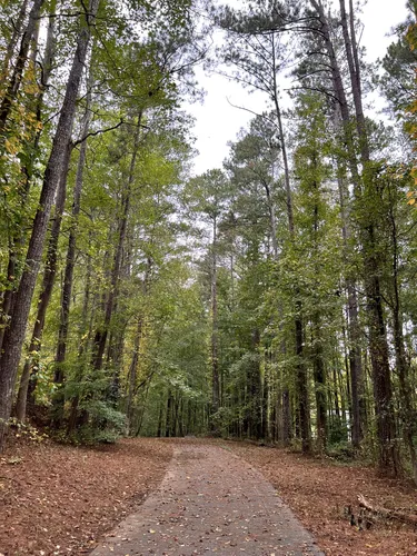 2023 Best Lake Trails in Covington | AllTrails 2023 Best Lake Trails in Covington | AllTrails
