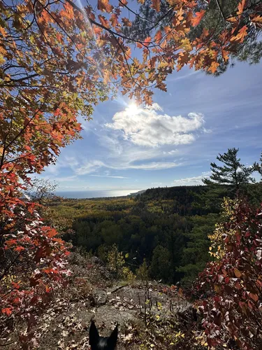 Best Hikes and Trails in Two Harbors | AllTrails