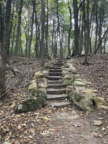 Best Hikes and Trails in Rock Point | AllTrails