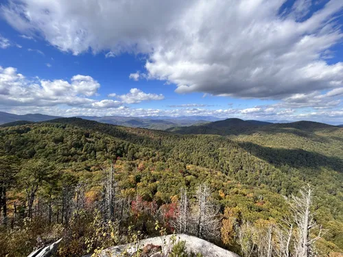 10 Best Trails and Hikes in Black Mountain | AllTrails