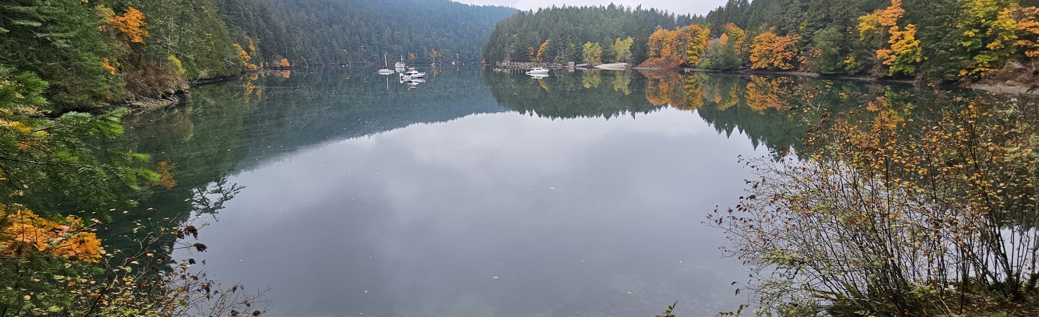 Tod Inlet from Durrance Road, British Columbia, Canada - 61 Reviews ...