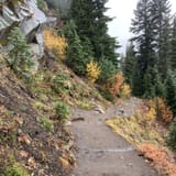 Naches Peak Loop Trail, Washington - 4,590 Reviews, Map | AllTrails
