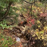 Naches Peak Loop Trail, Washington - 4,590 Reviews, Map | AllTrails