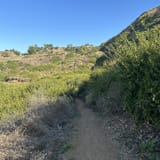Forrestal Preserve Loop, California - 1,283 Reviews, Map | AllTrails