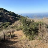 Forrestal Preserve Loop, California - 1,283 Reviews, Map | AllTrails
