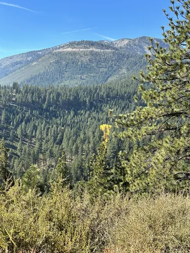 10 Best Hikes and Trails in Galena Creek Regional Park | AllTrails