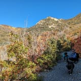 Emigration Canyon Miners Trail, Utah - 724 Reviews, Map | AllTrails