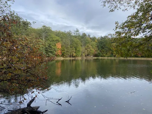 Best Hikes and Trails in Chenango Valley State Park | AllTrails