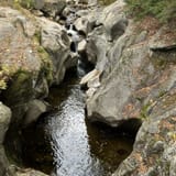 Sculptured Rocks Natural Area, New Hampshire - 126 Reviews, Map | AllTrails