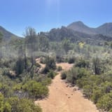 Cypress Trail to Boulders Loop, Arizona - 1,202 Reviews, Map | AllTrails