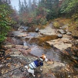 Sam's Knob and Little Sam Loop , North Carolina - 414 Reviews, Map ...