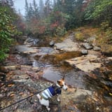 Sam's Knob and Little Sam Loop , North Carolina - 414 Reviews, Map ...