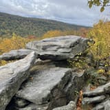 Wolf Rocks Trail, Pennsylvania - 1,220 Reviews, Map | AllTrails