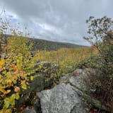 Wolf Rocks Trail, Pennsylvania - 1,220 Reviews, Map | AllTrails