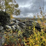 Wolf Rocks Trail, Pennsylvania - 1,220 Reviews, Map | AllTrails