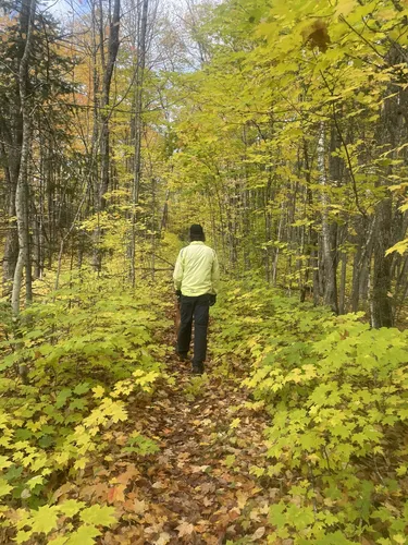 Best Hikes and Trails in Rainbow Lake Wilderness | AllTrails