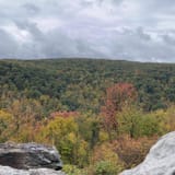 Wolf Rocks Trail, Pennsylvania - 1,220 Reviews, Map | AllTrails