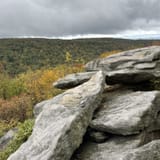 Wolf Rocks Trail, Pennsylvania - 1,220 Reviews, Map | AllTrails