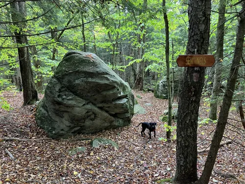 Best Hikes and Trails in Dyken Pond Environmental Education Center ...
