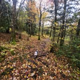 Sam's Knob and Little Sam Loop , North Carolina - 414 Reviews, Map ...