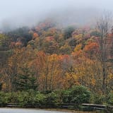 Sam's Knob and Little Sam Loop, North Carolina - 506 Reviews, Map ...
