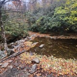 Sam's Knob and Little Sam Loop, North Carolina - 506 Reviews, Map ...