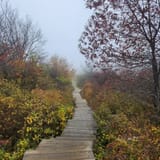 Sam's Knob and Little Sam Loop, North Carolina - 506 Reviews, Map ...