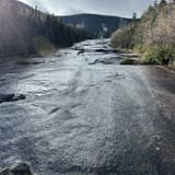 Dix Mountain via Dix Trail, New York - 329 Reviews, Map | AllTrails