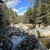 Dix Mountain via Dix Trail, New York - 329 Reviews, Map | AllTrails