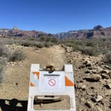 Plateau Point Trail via Bright Angel Trail, Arizona - 2,052 Reviews ...