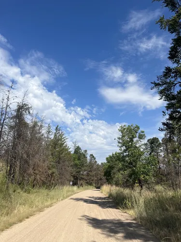 Best Hikes and Trails in Nebraska National Forest | AllTrails