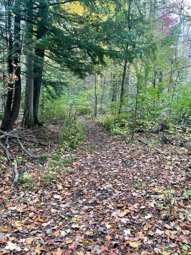 Best Hikes and Trails in Monaghan Forest Park | AllTrails