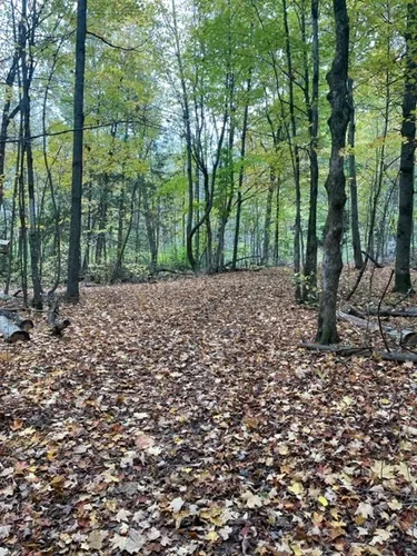 Best Hikes and Trails in Monaghan Forest Park | AllTrails