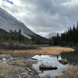 Edworthy Falls via Elbow Lake Trail, Alberta, Canada - 1,759 Reviews ...