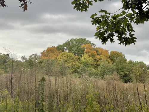 Best Hikes and Trails in Stemler Cave Woods Nature Preserve | AllTrails