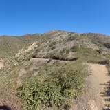 Ocean and Canyon View Trail, California - 1,850 Reviews, Map | AllTrails