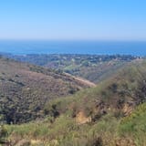 Ocean and Canyon View Trail, California - 1,850 Reviews, Map | AllTrails