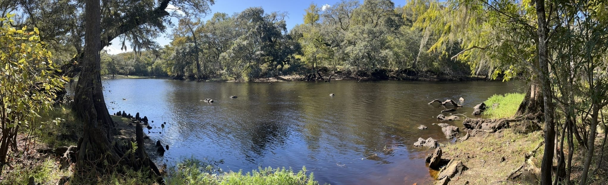 Croom Hiking Trail, Florida - 111 Reviews, Map | AllTrails