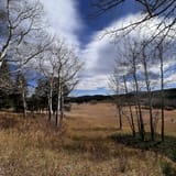 Caribou Ranch Trail, Colorado - 1,332 Reviews, Map | AllTrails