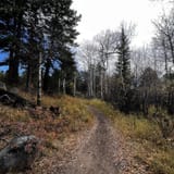 Caribou Ranch Trail, Colorado - 1,332 Reviews, Map | AllTrails