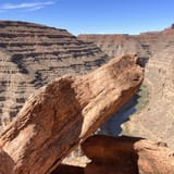 Honaker Trail, Utah - 94 Reviews, Map | AllTrails