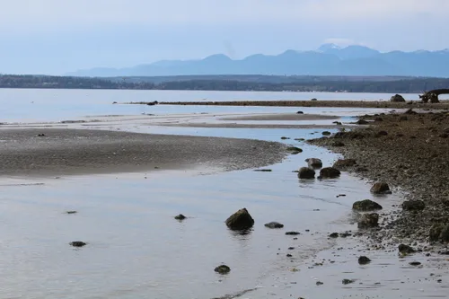 Best Hikes and Trails in Double Bluff Park | AllTrails